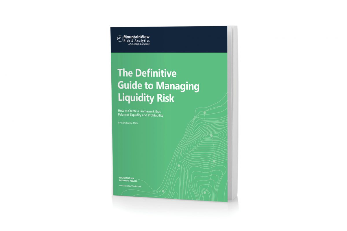 Model Risk Management